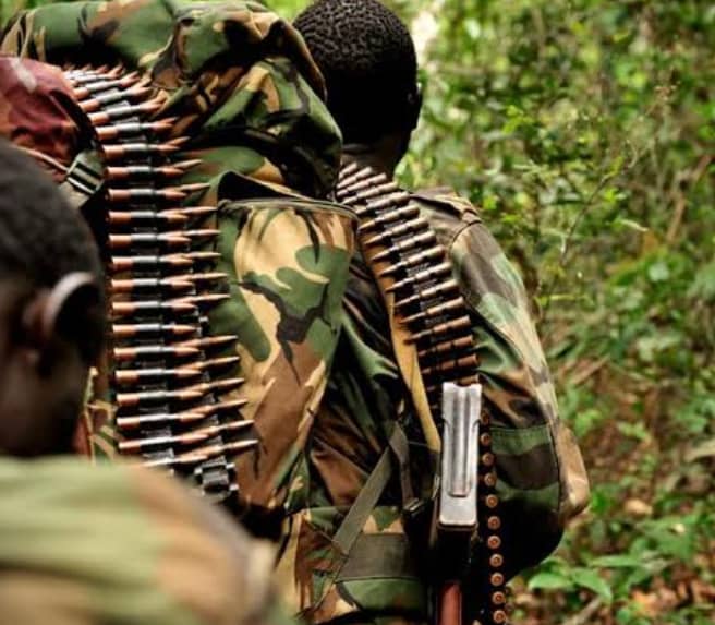 Ituri: 11 morts dans une incursion des ADF à Mambasa - Enquete.cd Ituri: 11 morts dans une incursion des ADF à Mambasa - Enquete.cd